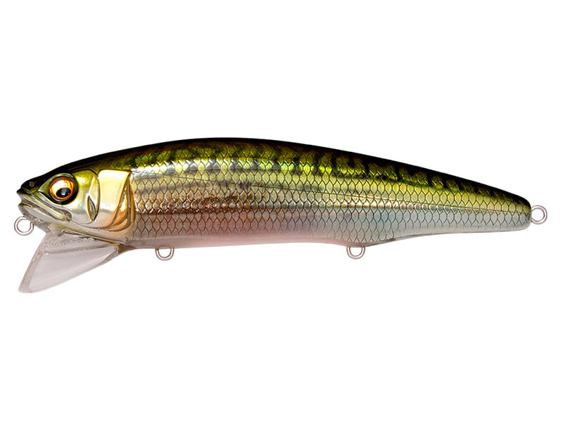 Megabass wobler SAZANKA 140F FA SABA - Internetowy sklep wędkarski ...